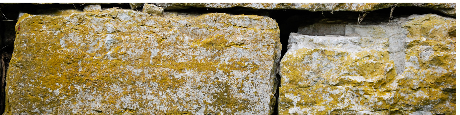 The Stone That Was Rejected May Not Be What You Think - Spiritus ...